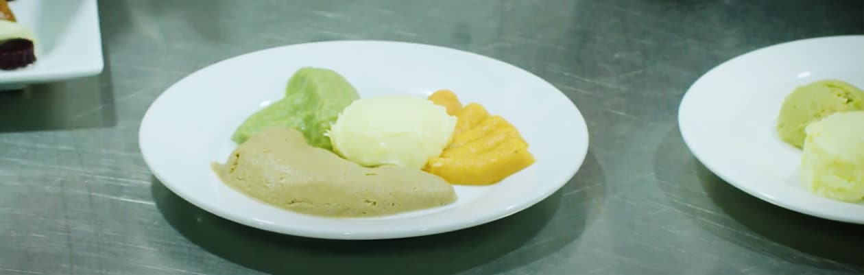 Pureed Food for residents with dysphasia